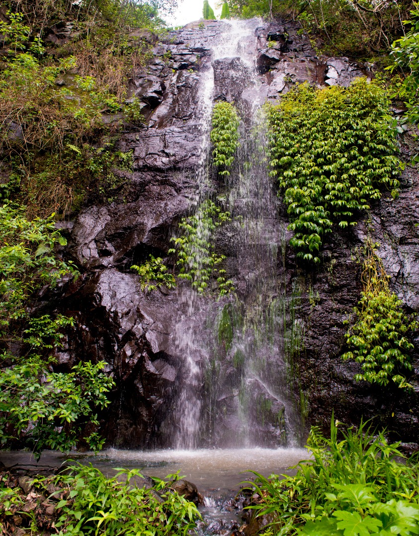 Photo Gallery Nimbin Waterfall Retreat